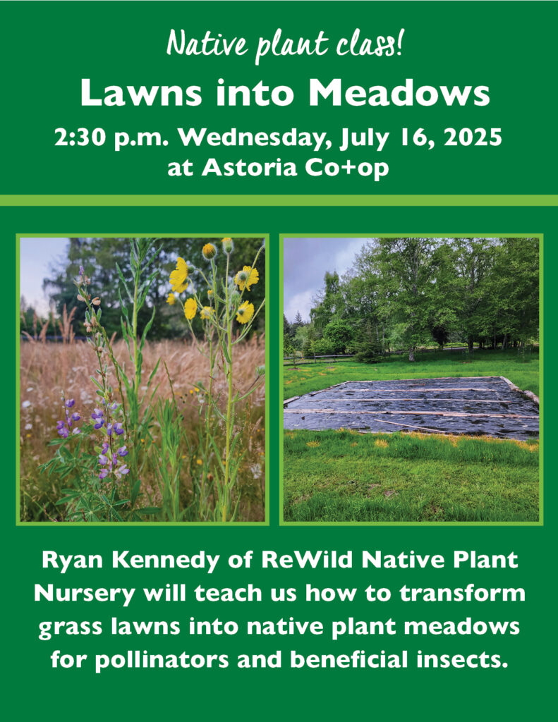 Lawns into Meadows | Astoria Co+op